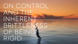 On Control and the Inherent Brittleness of Being Rigid. - Kate Northrup